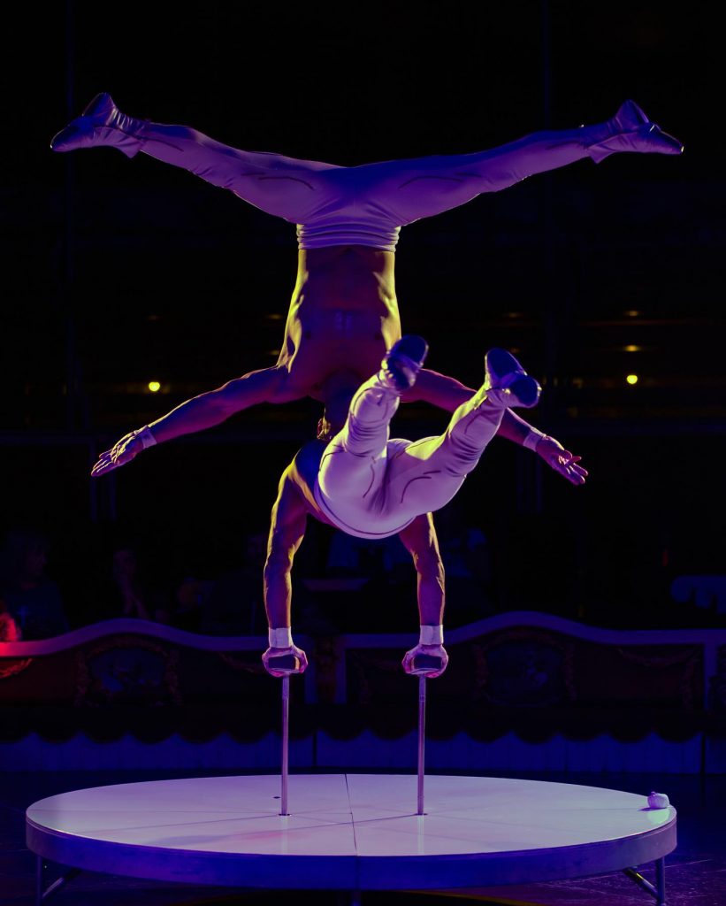 História do circo: Uma arte com tradição secular - Circo Raluy Histérico